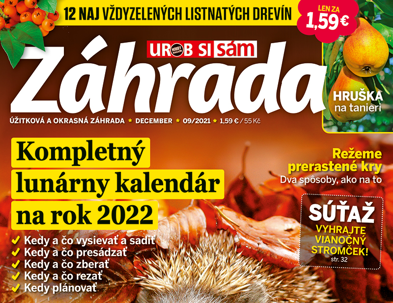 Decembrové vydanie časopisu Záhrada je v predaji | Urob si sám