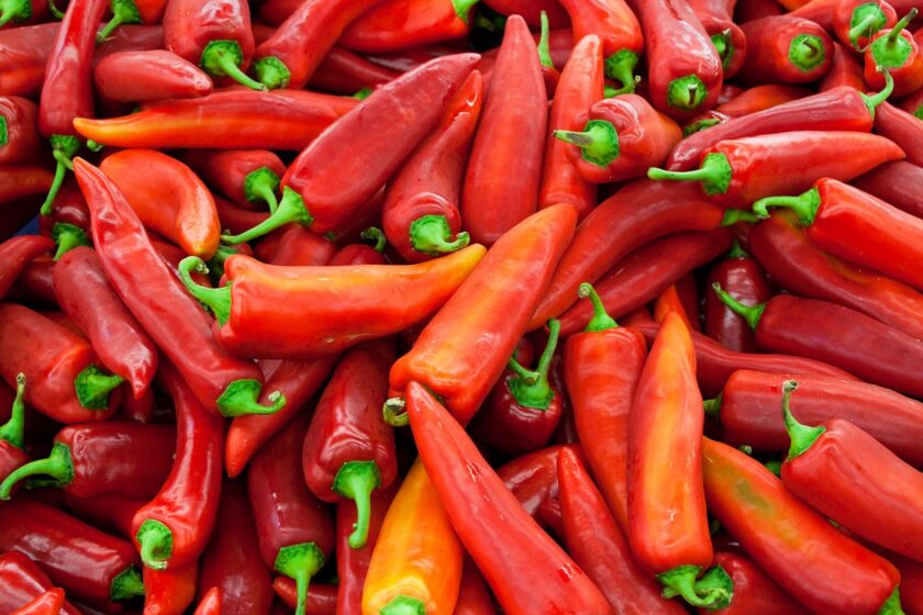 TOP odrody paprík, ktorým sa darí v našich podmienkach